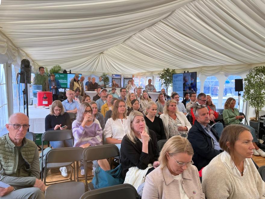 Democracy festivals showcased the necessity of Nordic collaboration ...