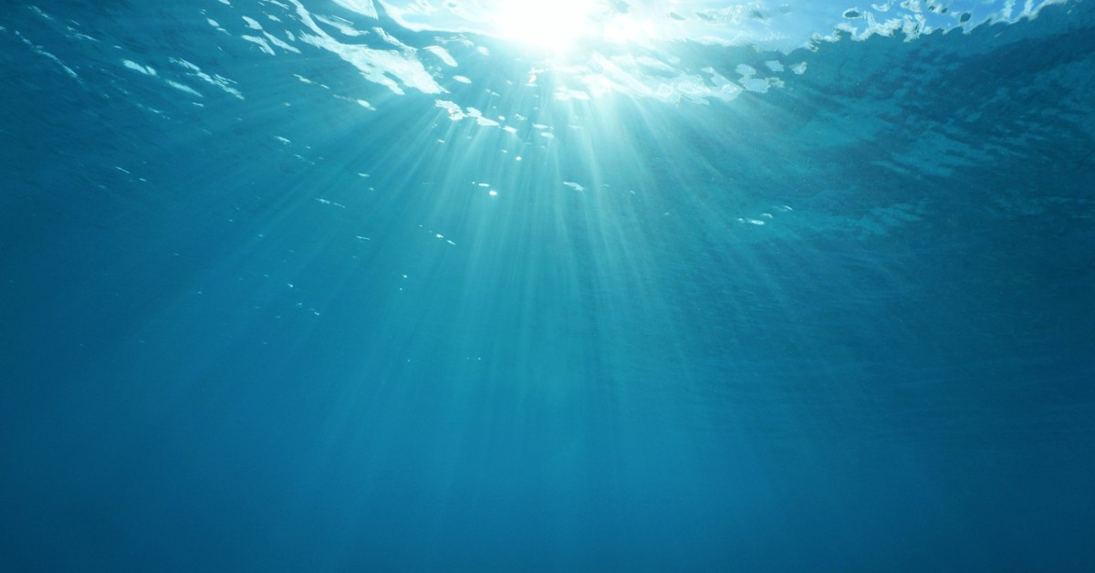 Deep Ocean Catch | Nordic Innovation